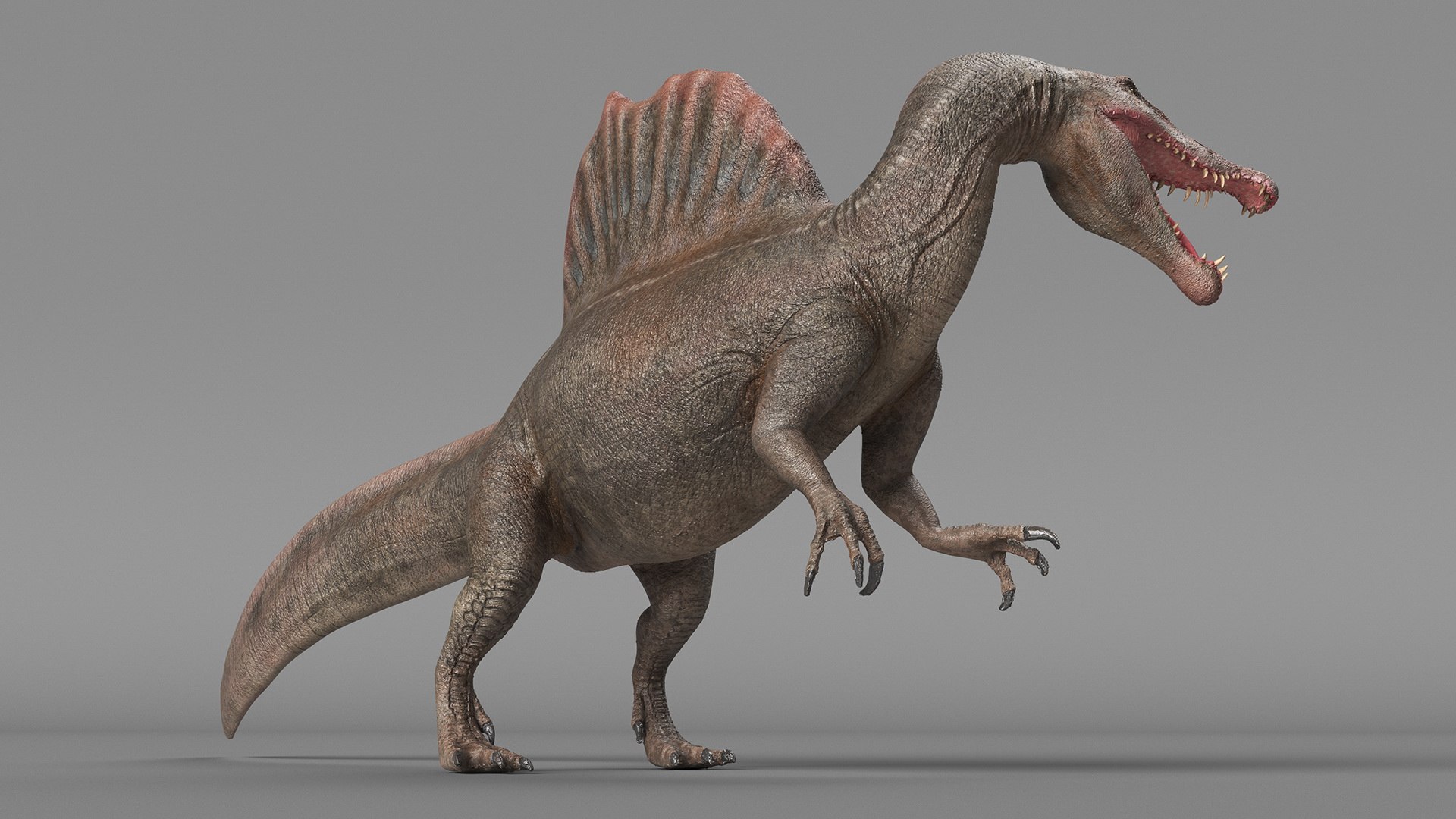 3D Spinosaurus Roaring Pose Model - TurboSquid 2268872