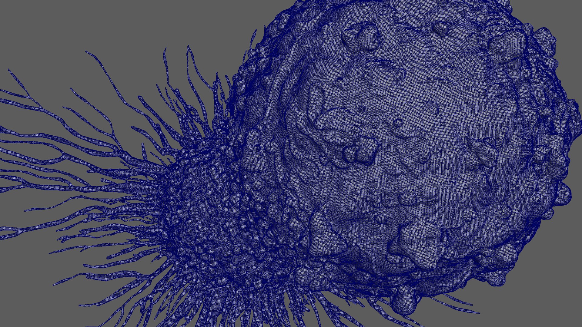 Macrophage 3D Model - TurboSquid 2225839