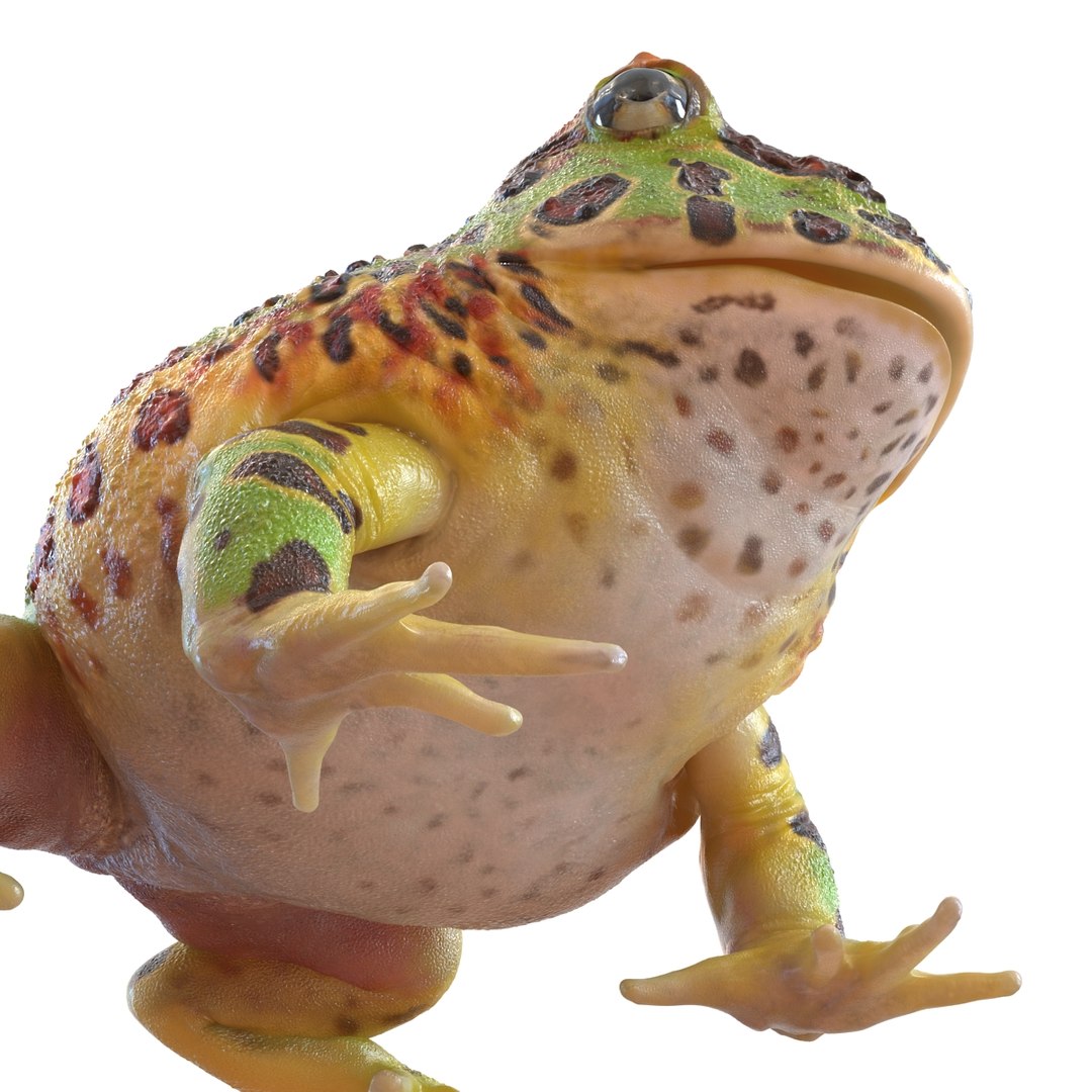 pacman frog rigged 3d model