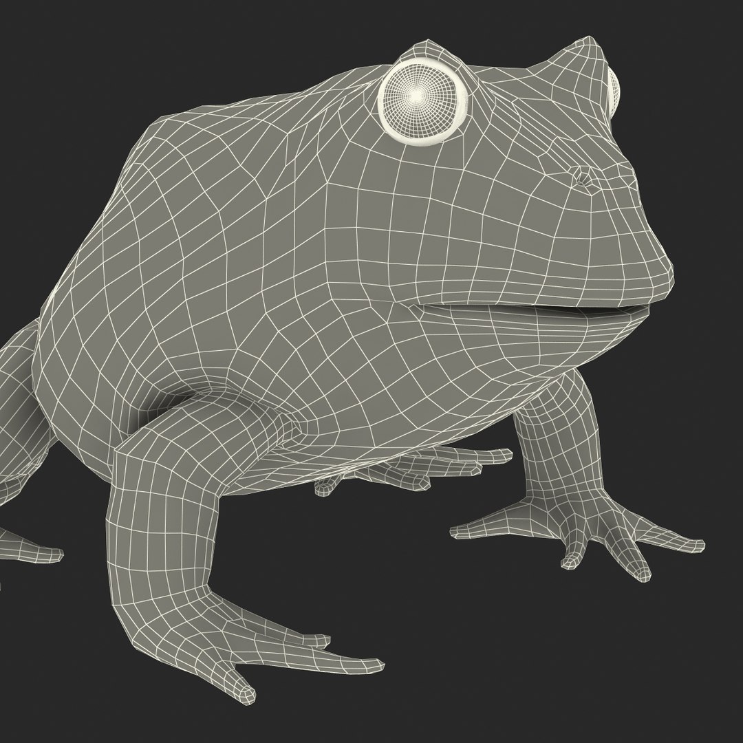 pacman frog rigged 3d model