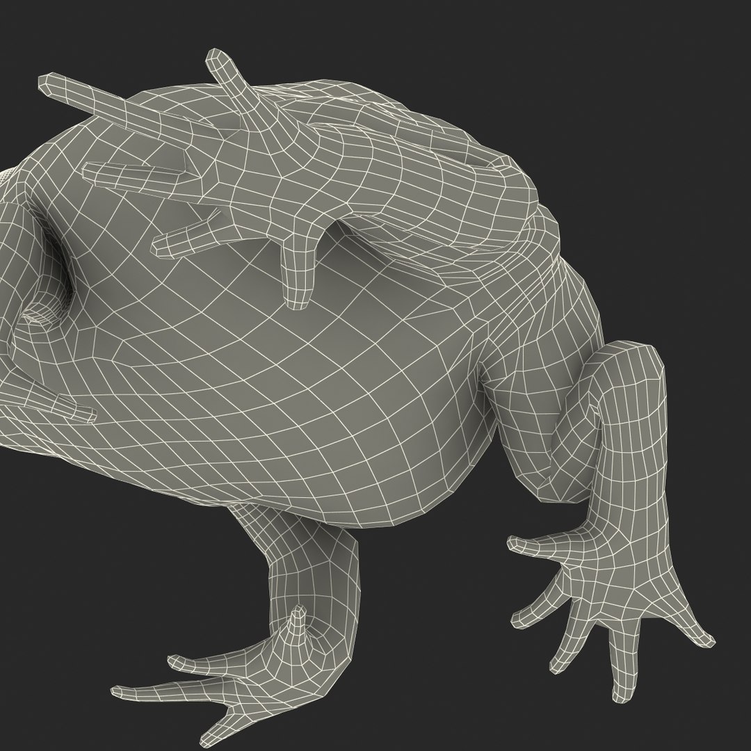 pacman frog rigged 3d model