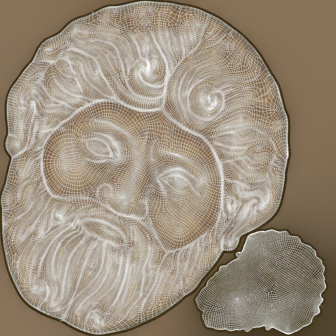 3D Greek God Face Relief 2 Textured - TurboSquid 2300535