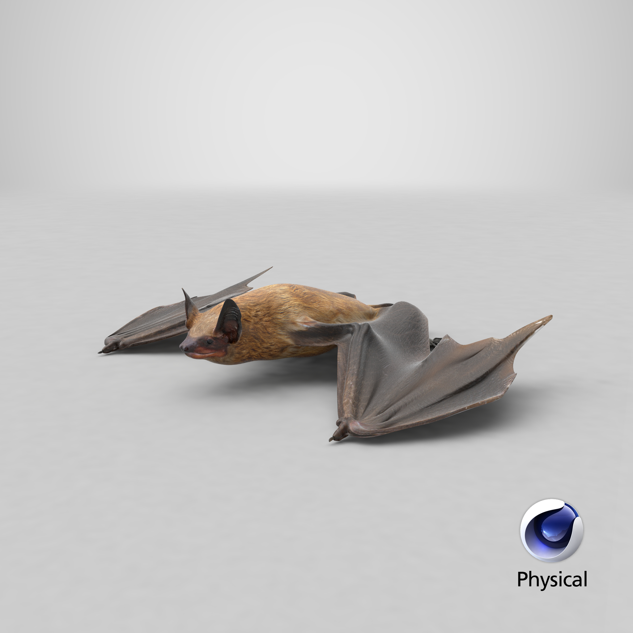 flying bat 2 3d 3ds