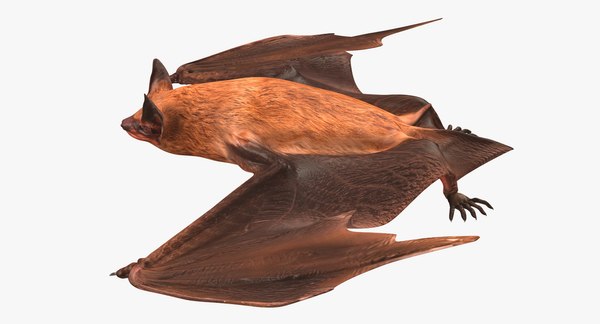 flying bat 2 3d 3ds