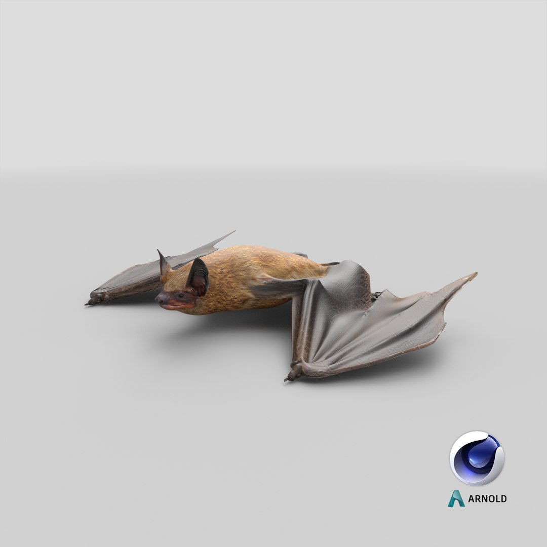 Flying Bat 2 3d 3ds