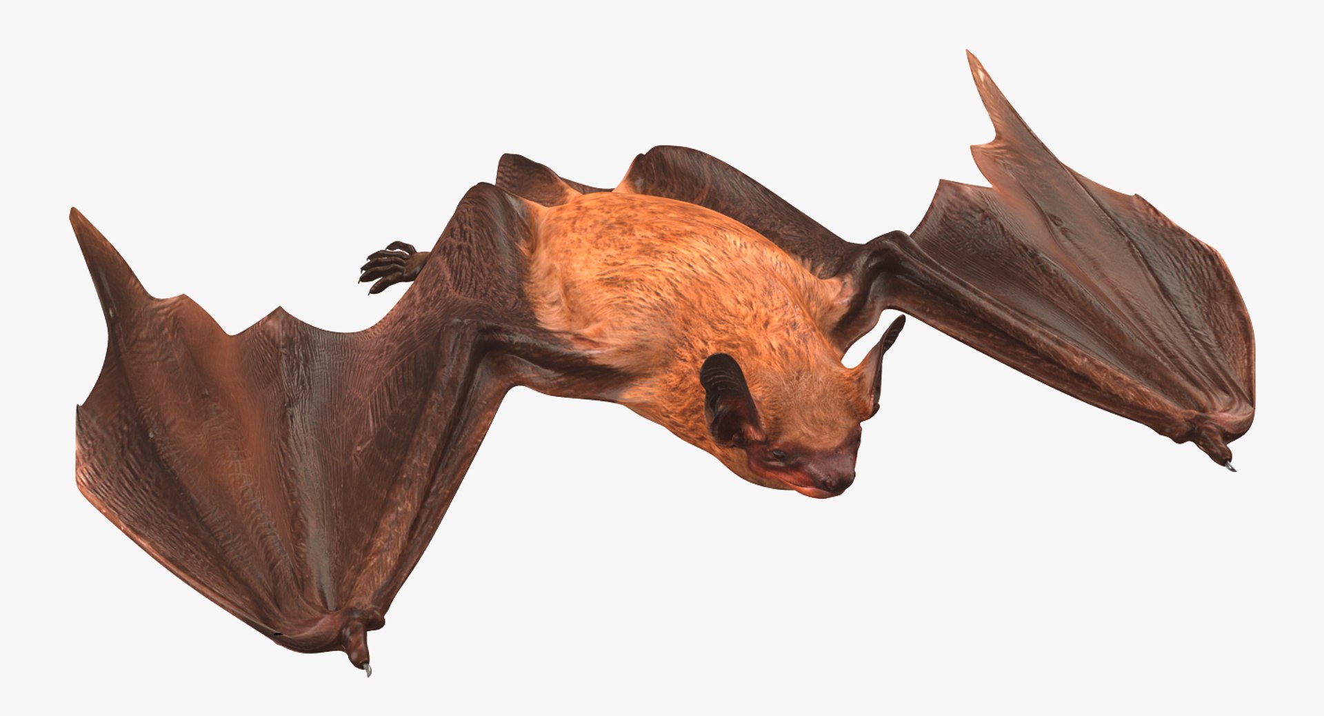 flying bat 2 3d 3ds
