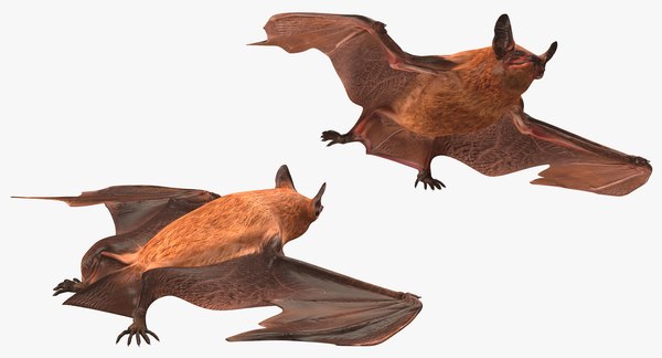 flying bat 2 3d 3ds