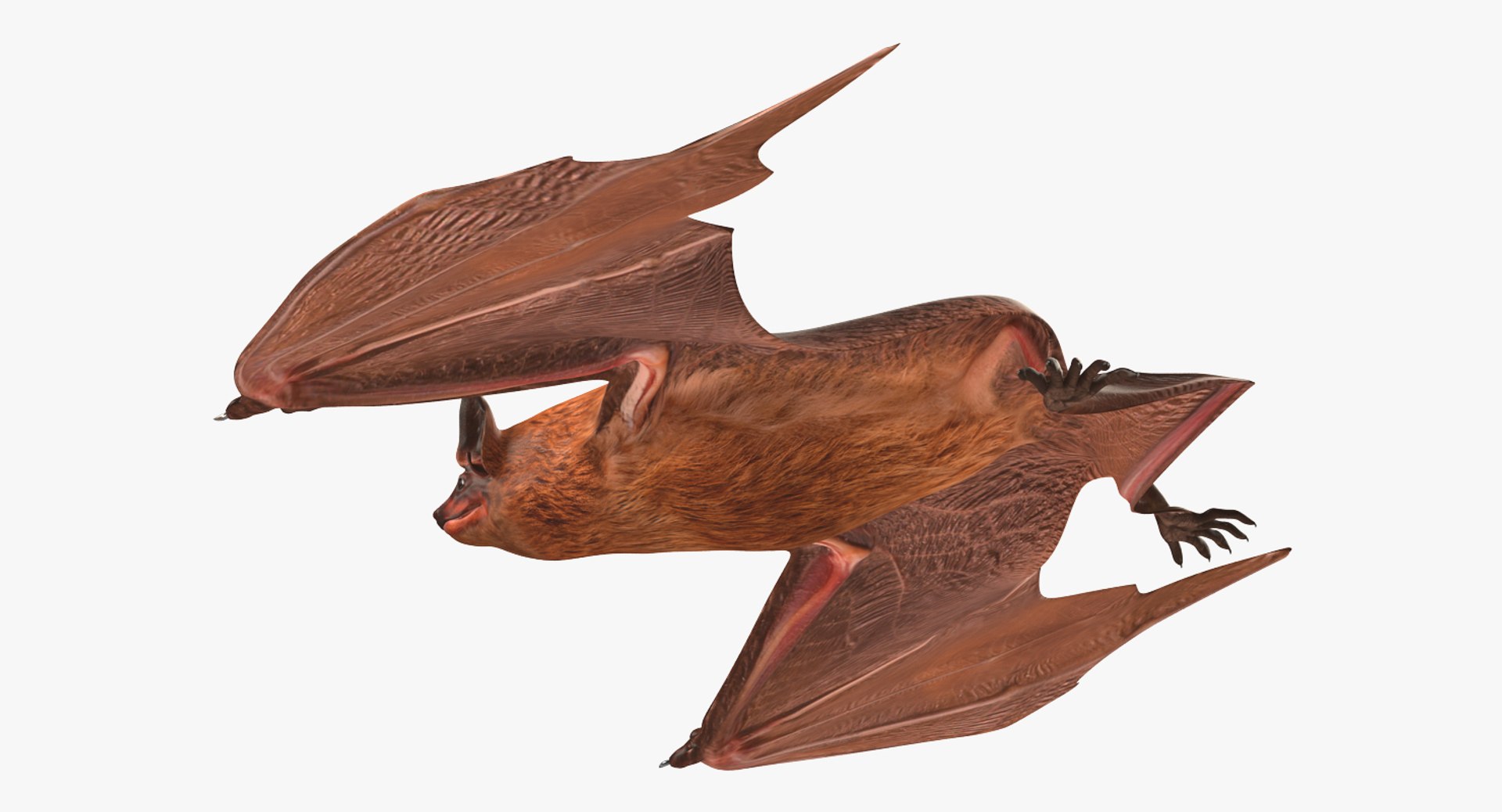 flying bat 2 3d 3ds