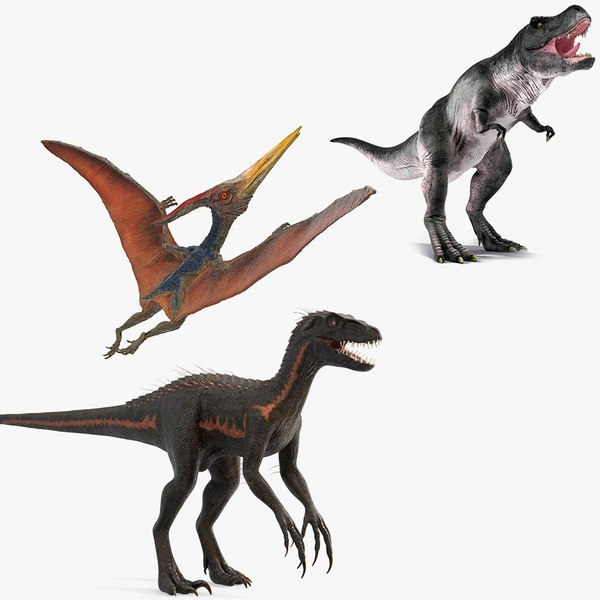 Raptor 3D Models for Download | TurboSquid