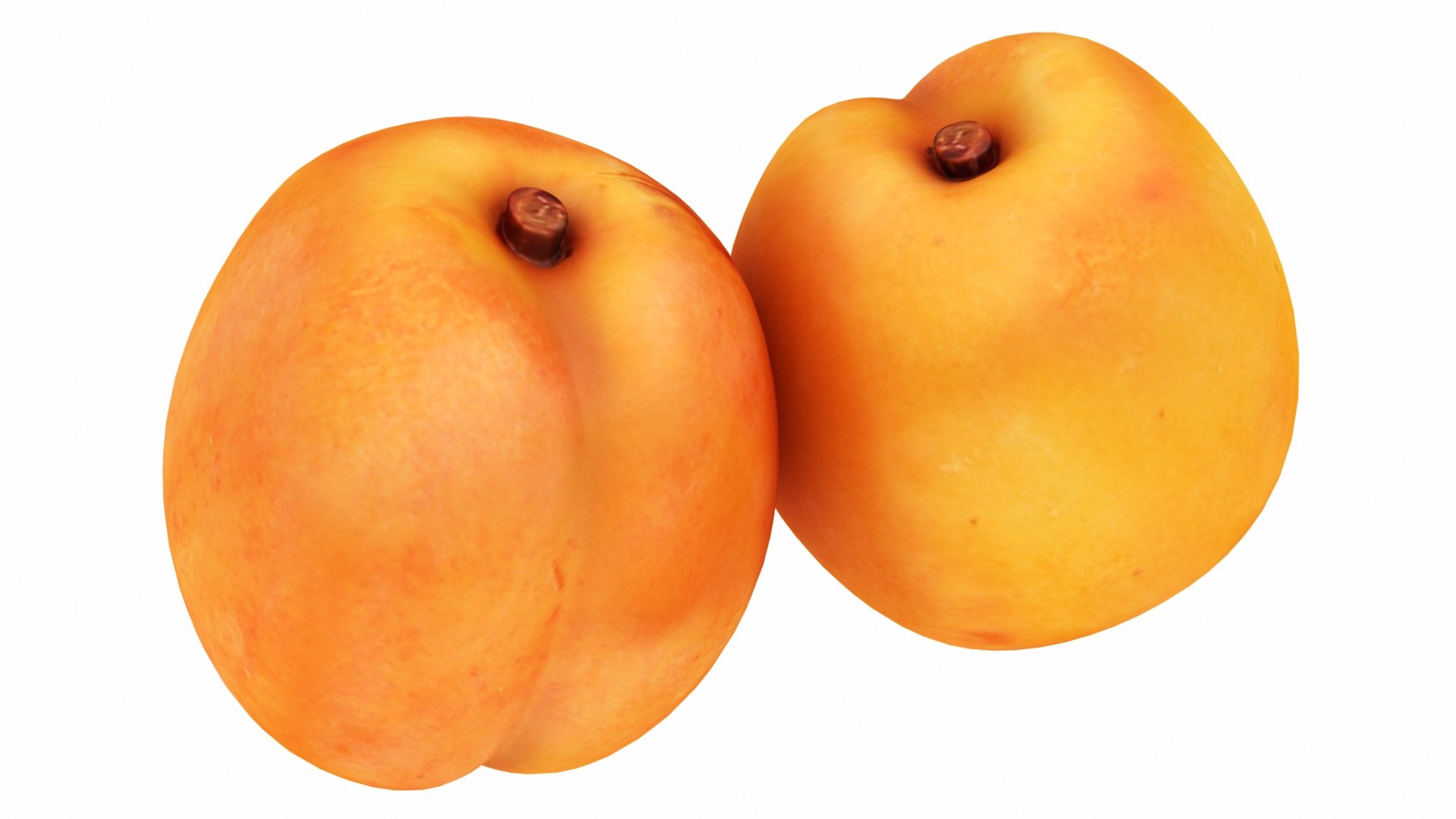 Apricot ready 3D model - TurboSquid 1547991