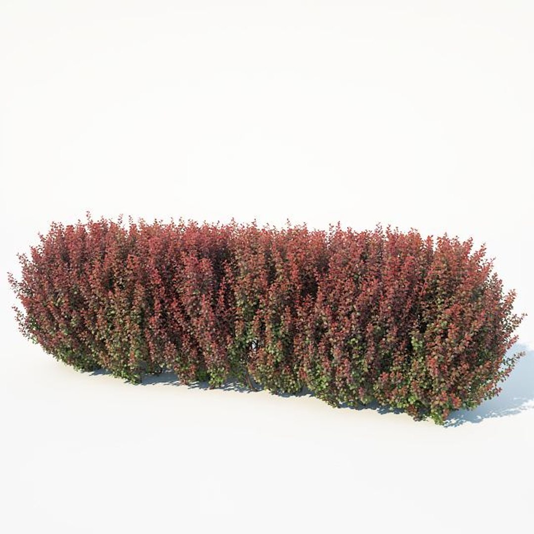 6 hedge model - TurboSquid 1325124