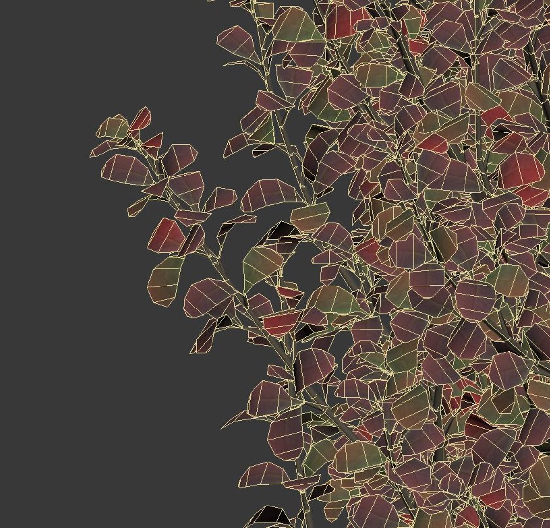 6 hedge model - TurboSquid 1325124