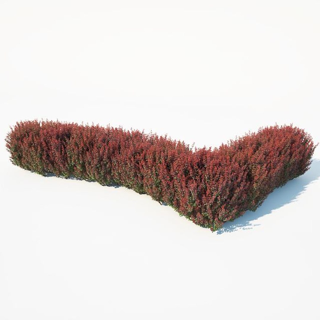 6 hedge model - TurboSquid 1325124