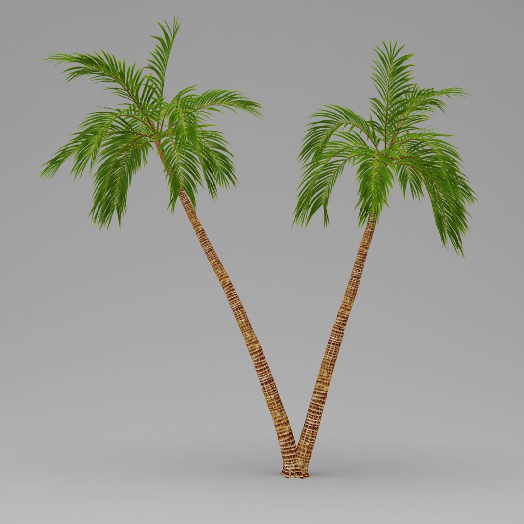 3d palm 07 model