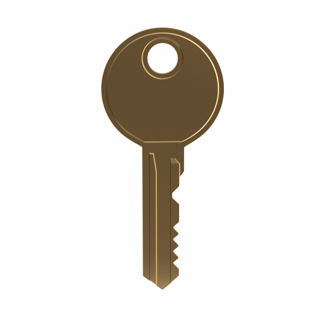 3D model Gold Key - TurboSquid 1917986