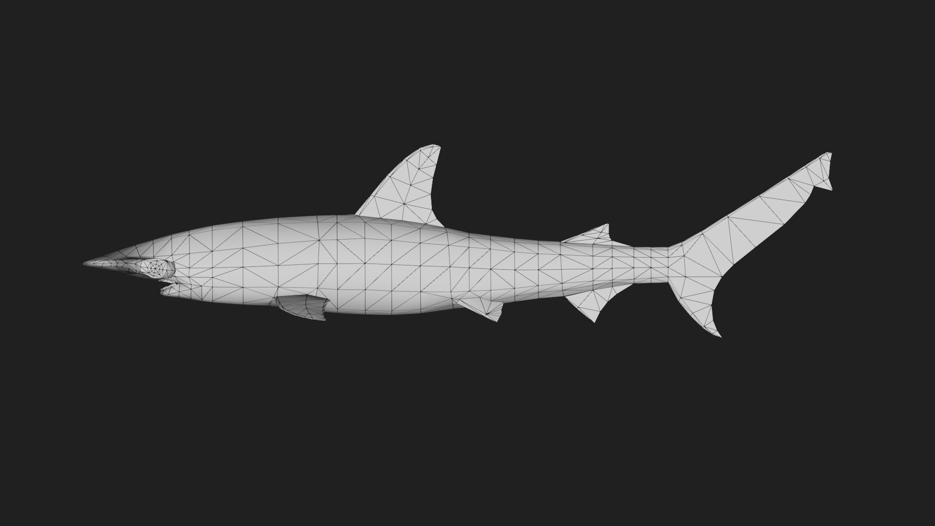 Hammerhead 3D - TurboSquid 2121549