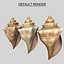 Conch Shell 3d Model