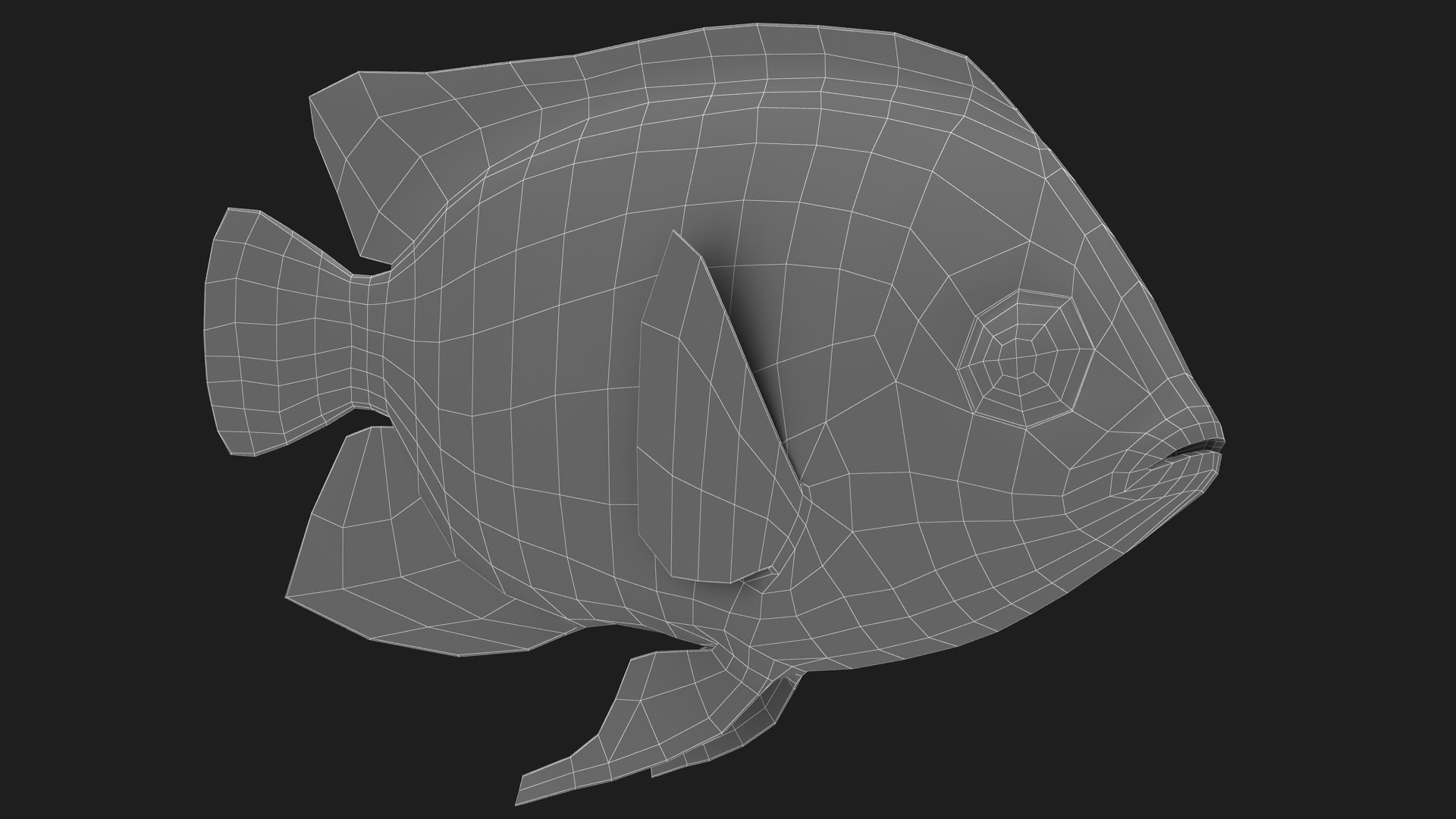 3D bicolor angelfish animation - TurboSquid 1516485