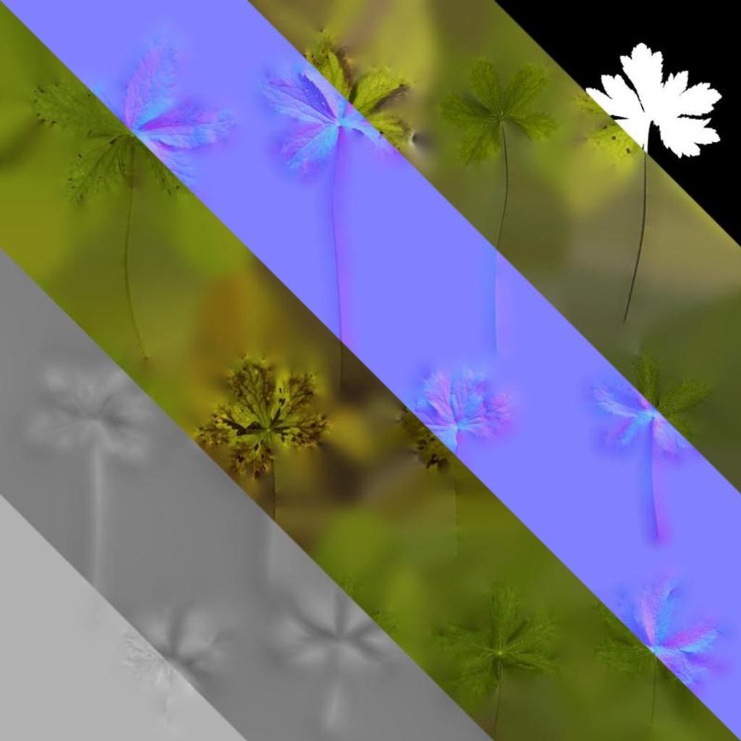 Anydrafts Astrantia Major Leaf 01 Textures 3D Model - TurboSquid 2352489