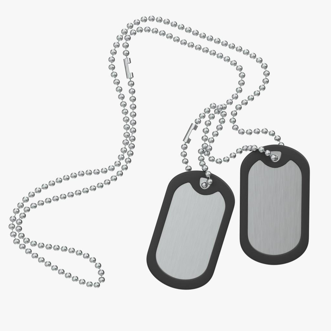 3D Model Dog Tags - TurboSquid 1430696