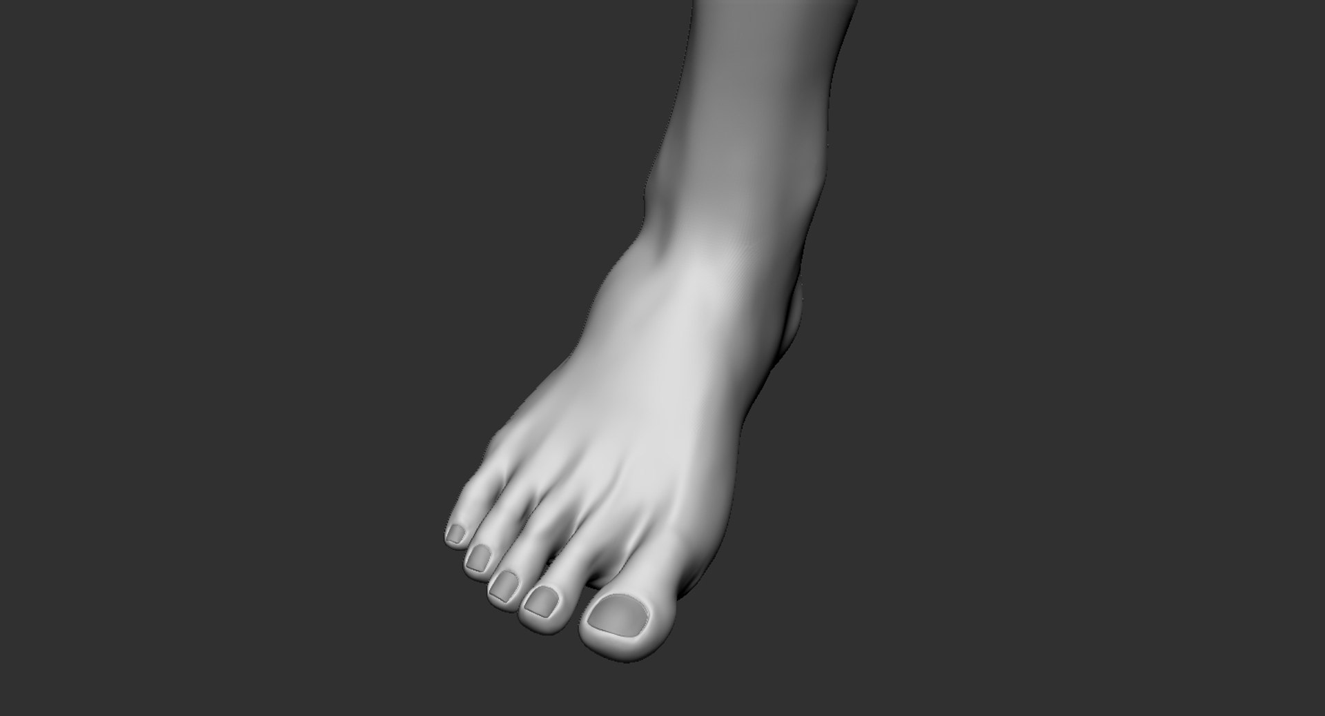 Human Foot 2020 3D Model - TurboSquid 1538641