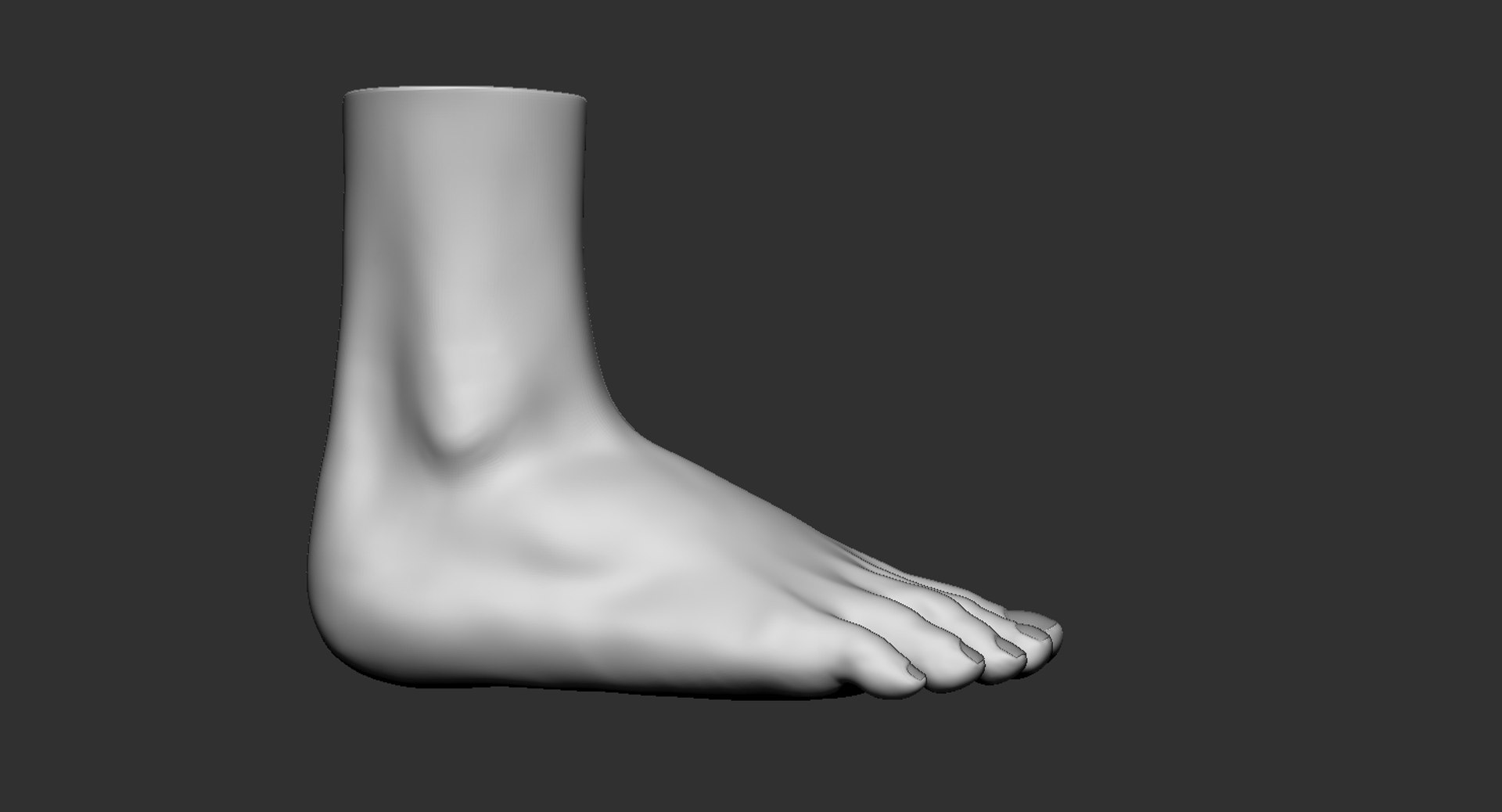 Human Foot 2020 3D Model - TurboSquid 1538641