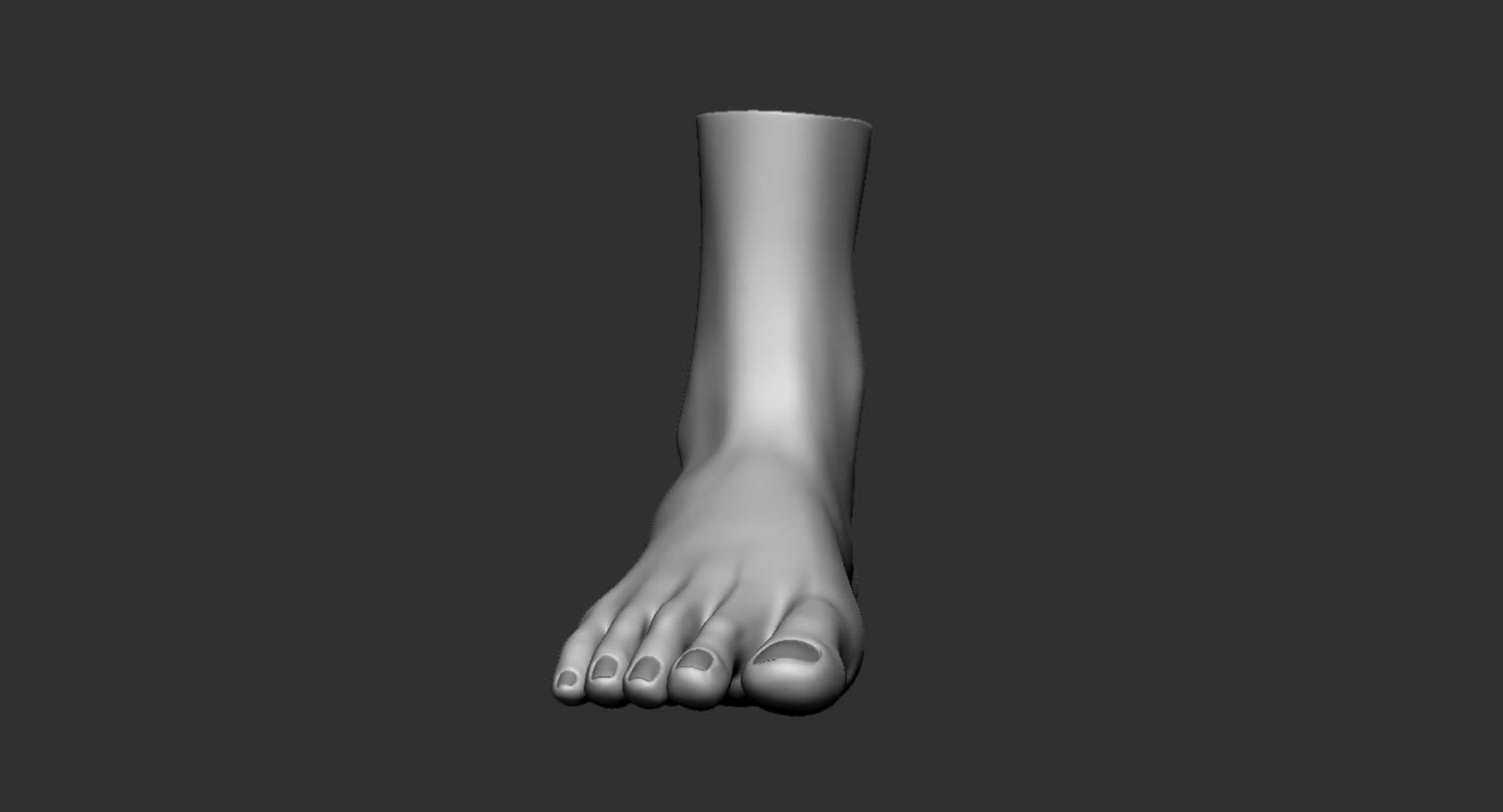 Human Foot 2020 3D Model - TurboSquid 1538641