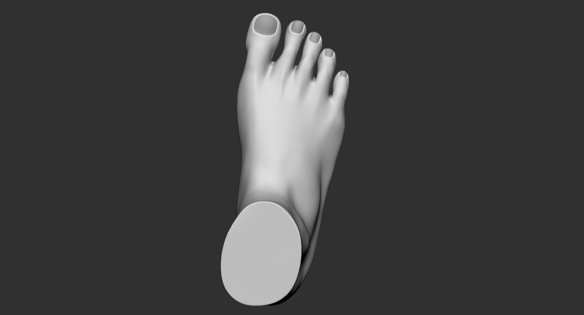Human Foot 2020 3D Model - TurboSquid 1538641