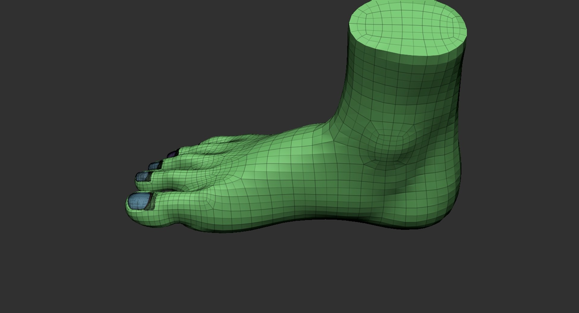 Human Foot 2020 3D Model - TurboSquid 1538641