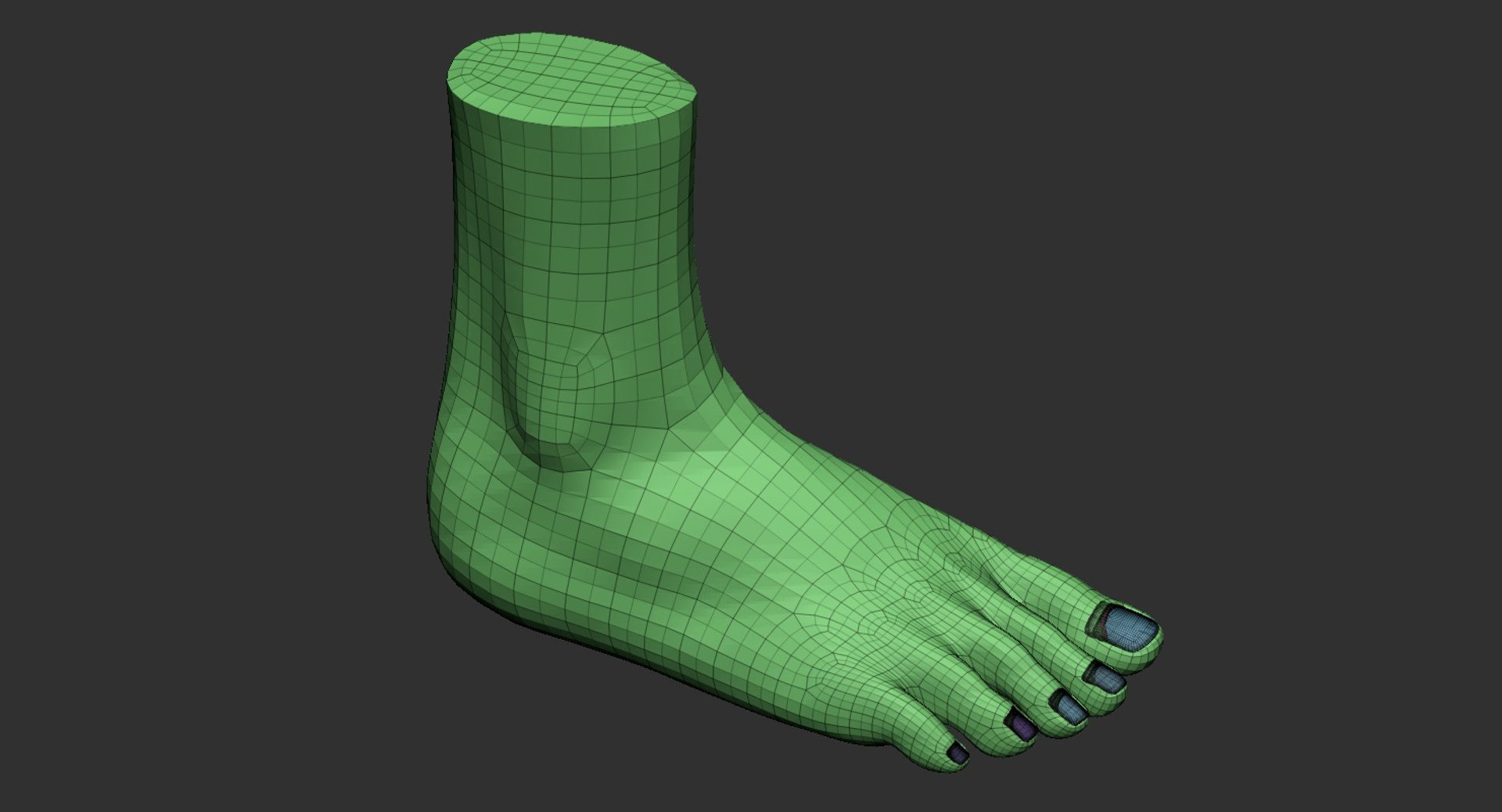 Human Foot 2020 3D Model - TurboSquid 1538641