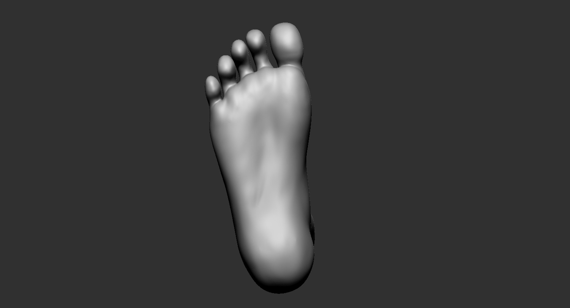 Human Foot 2020 3D Model - TurboSquid 1538641