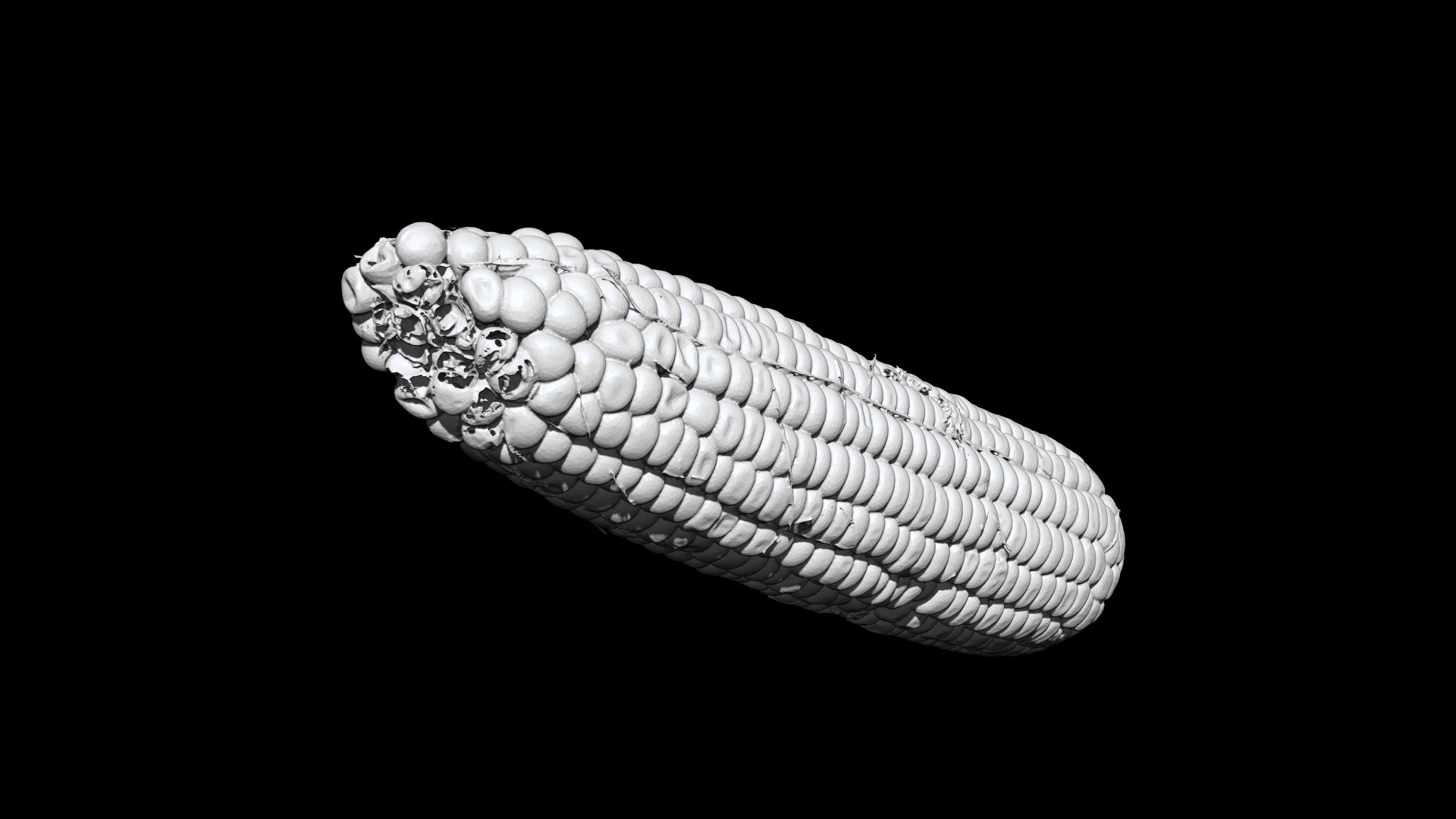 3D Corn 3D CT Scan Model Decimate 30 Percent - TurboSquid 1945194