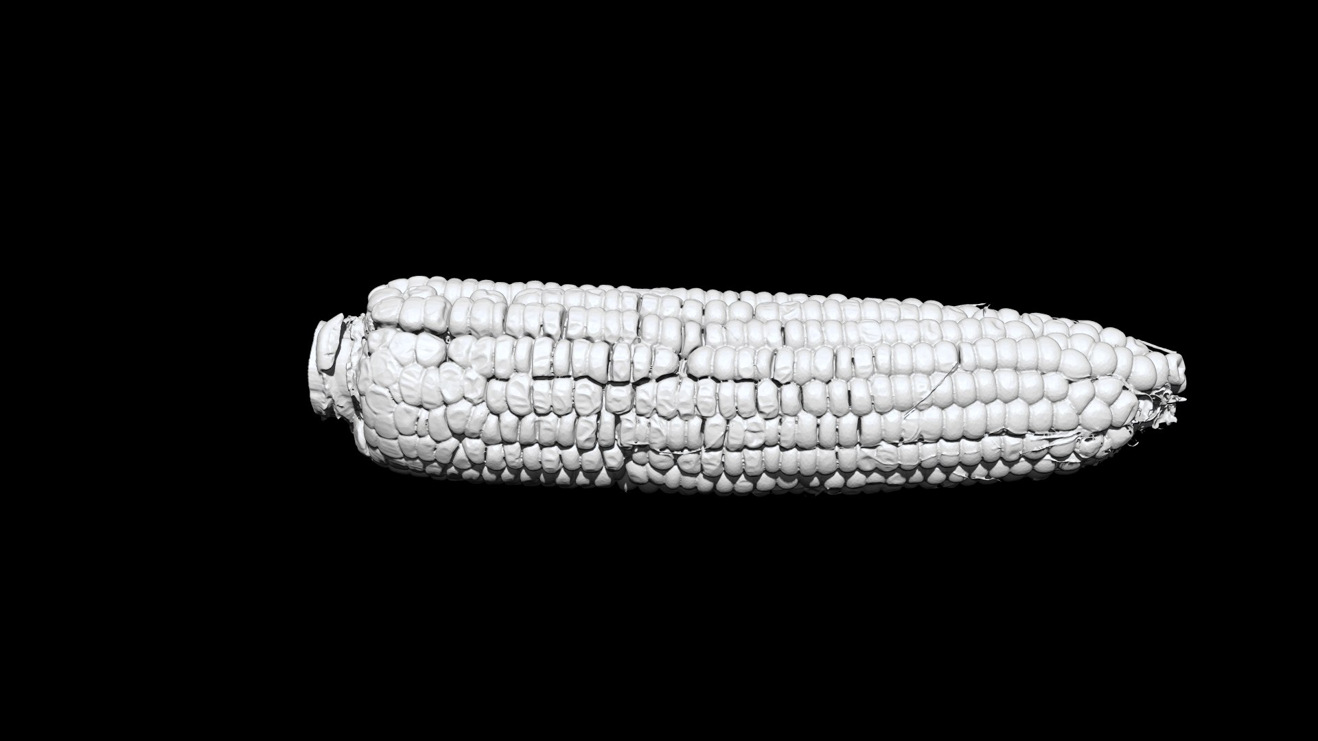 3D Corn 3D CT Scan Model Decimate 30 Percent - TurboSquid 1945194