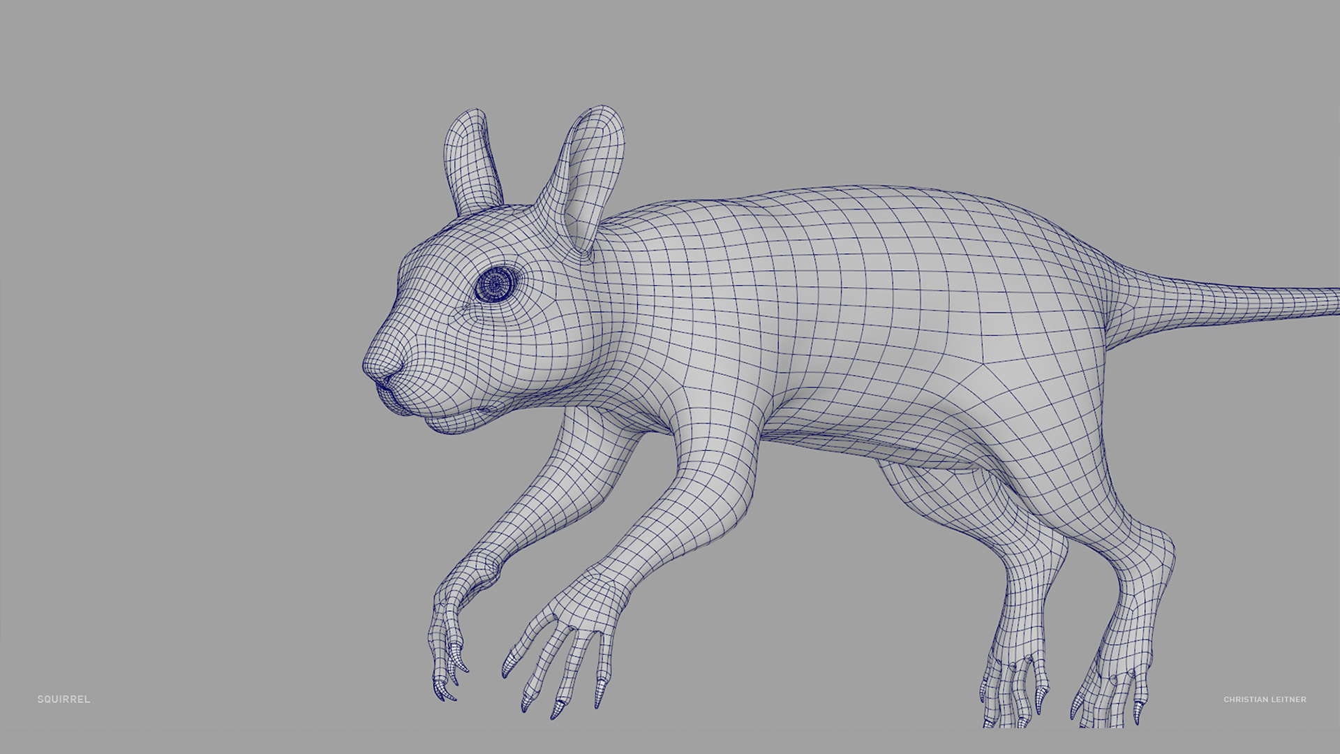 modelo 3d Ardilla - TurboSquid 1791085