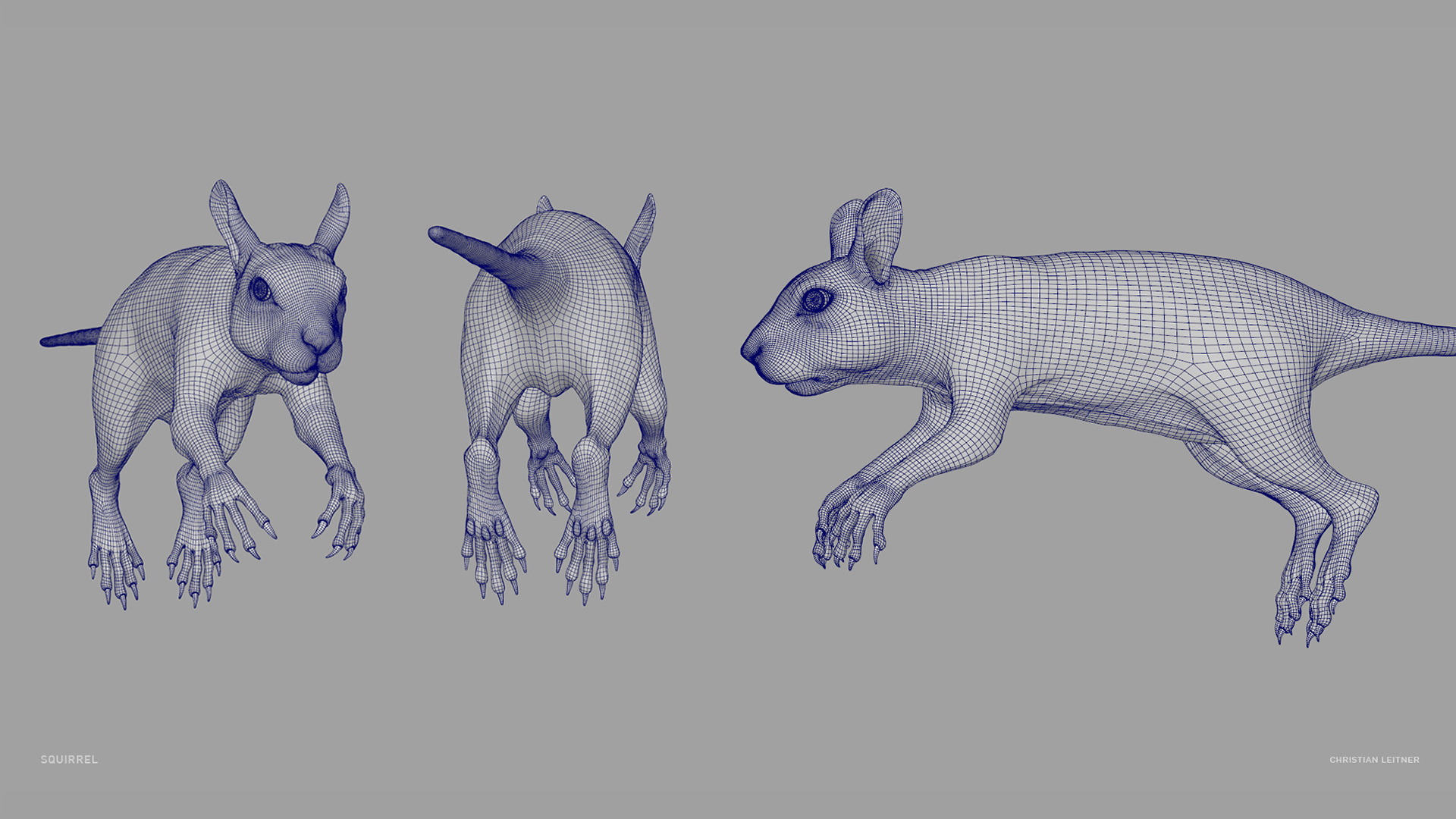 modelo 3d Ardilla - TurboSquid 1791085