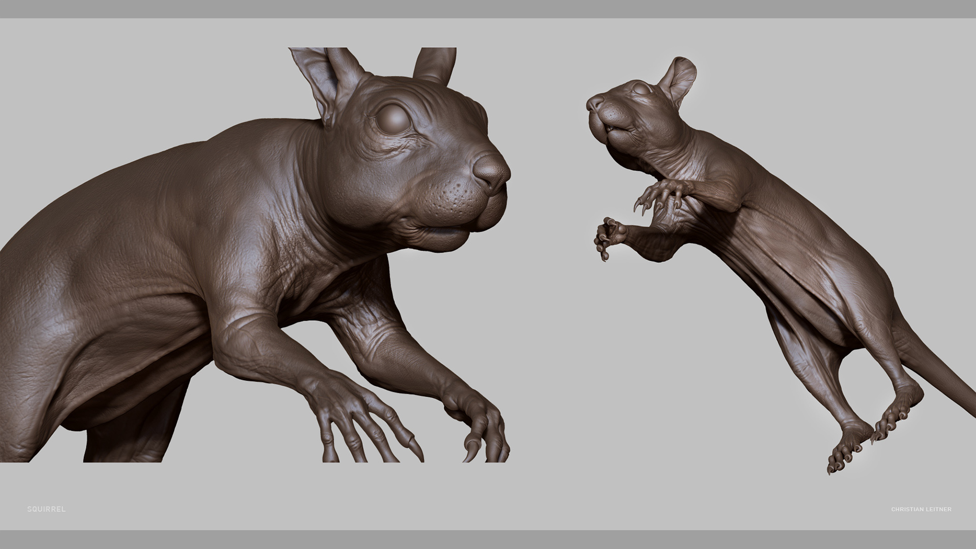 modelo 3d Ardilla - TurboSquid 1791085