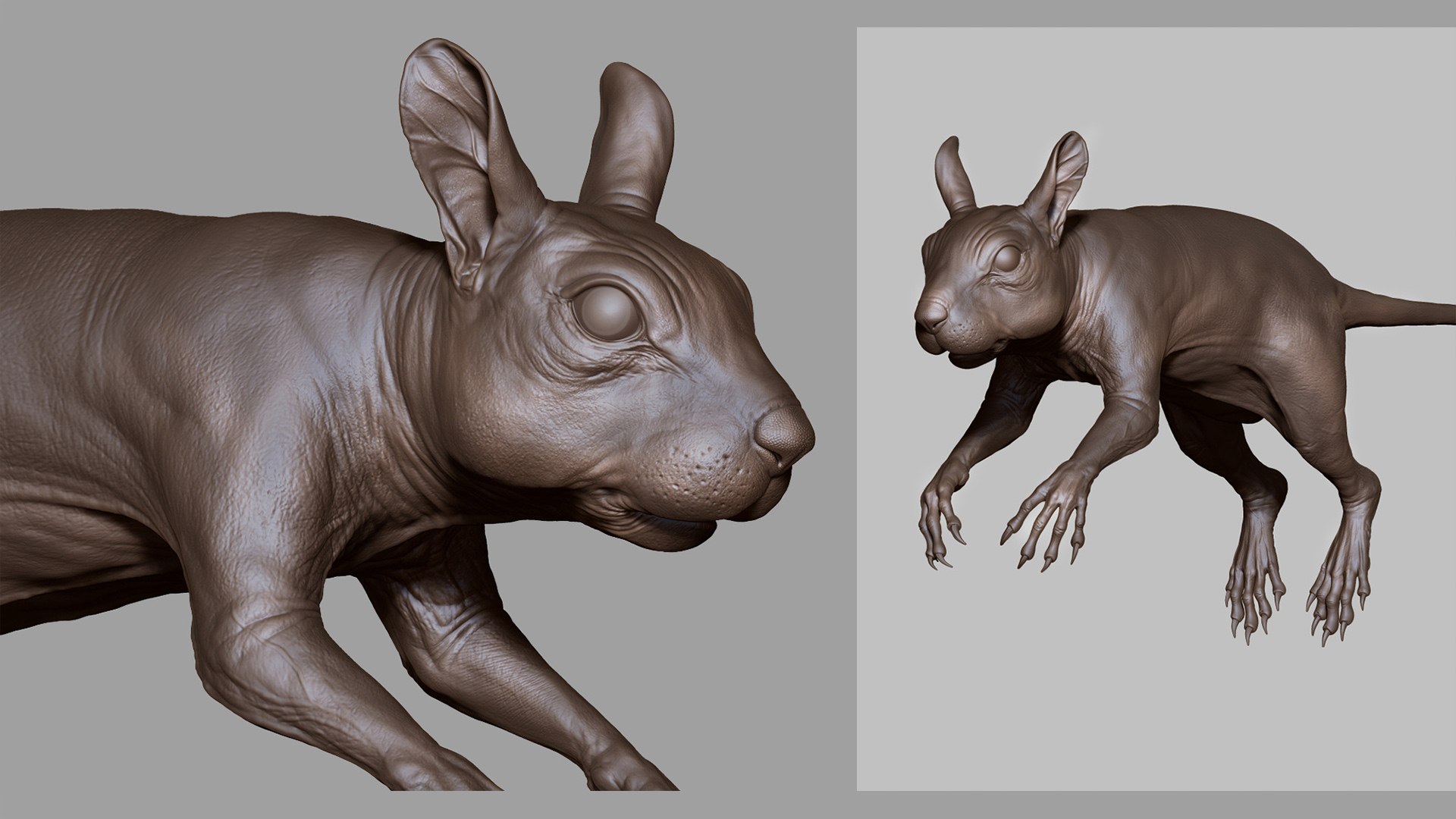 3D Squirrel Model - TurboSquid 1791085