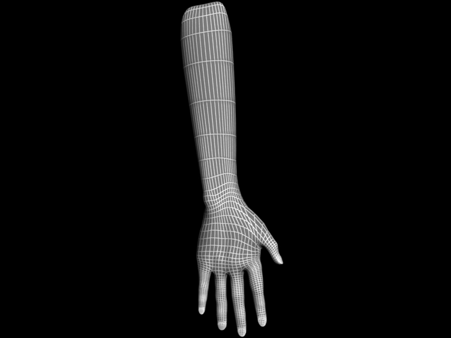 Max Hand S