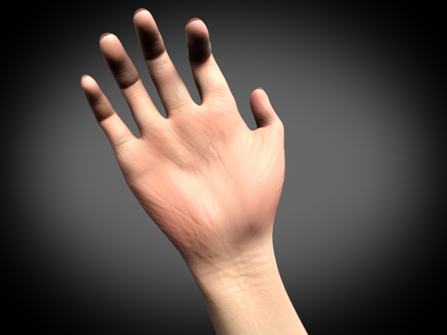 Max Hand S