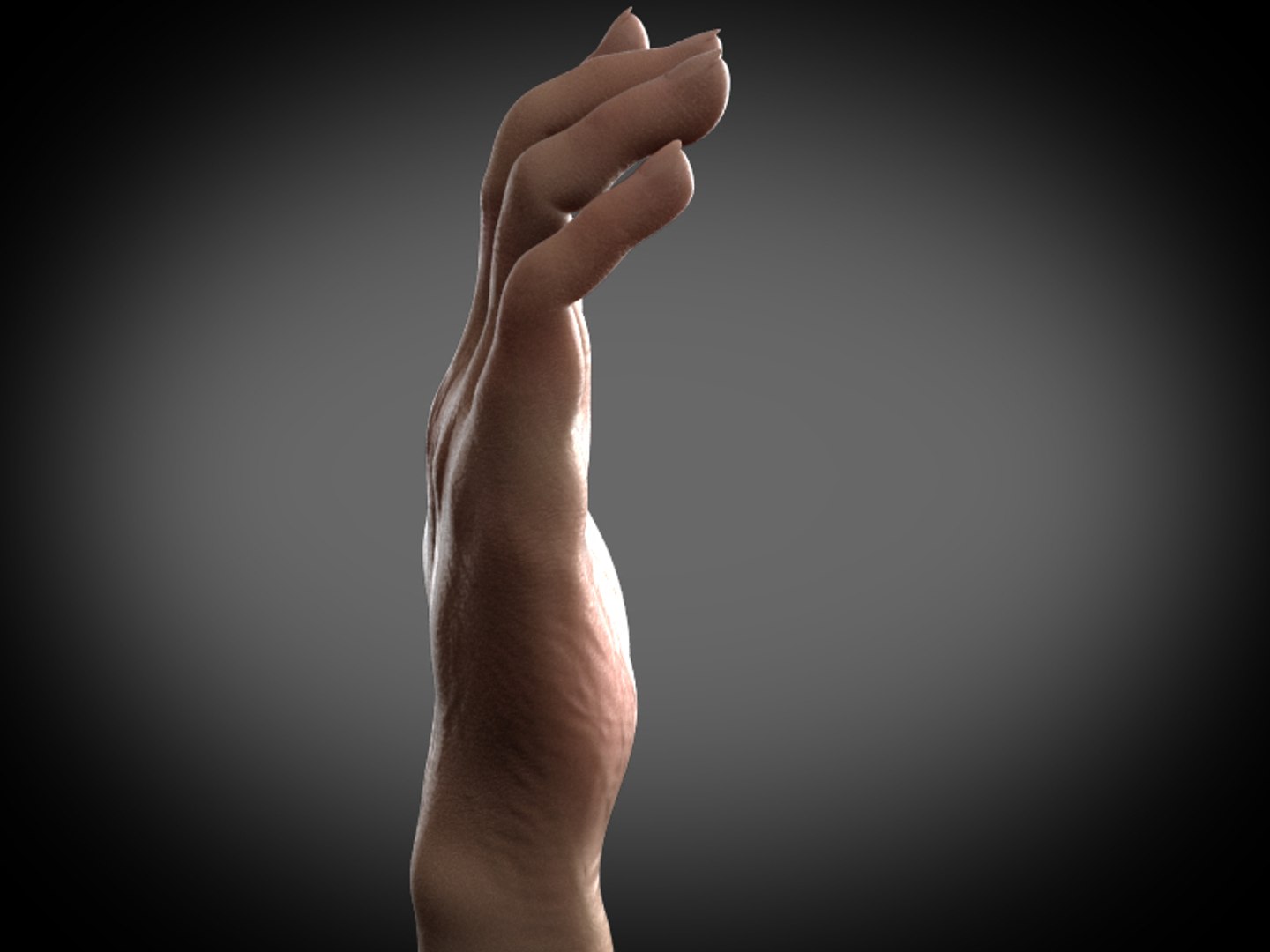 Max Hand S