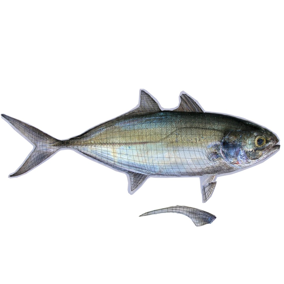 Green Jack Max