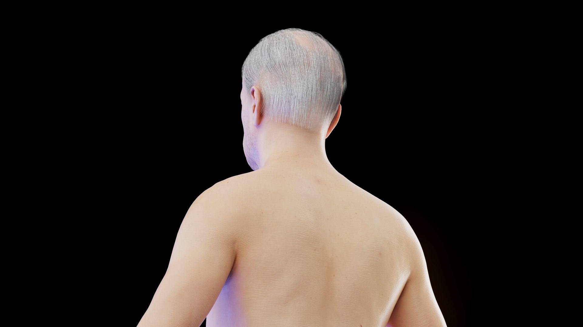 3D Human Anatomy Elder Male Body Model - TurboSquid 2025530