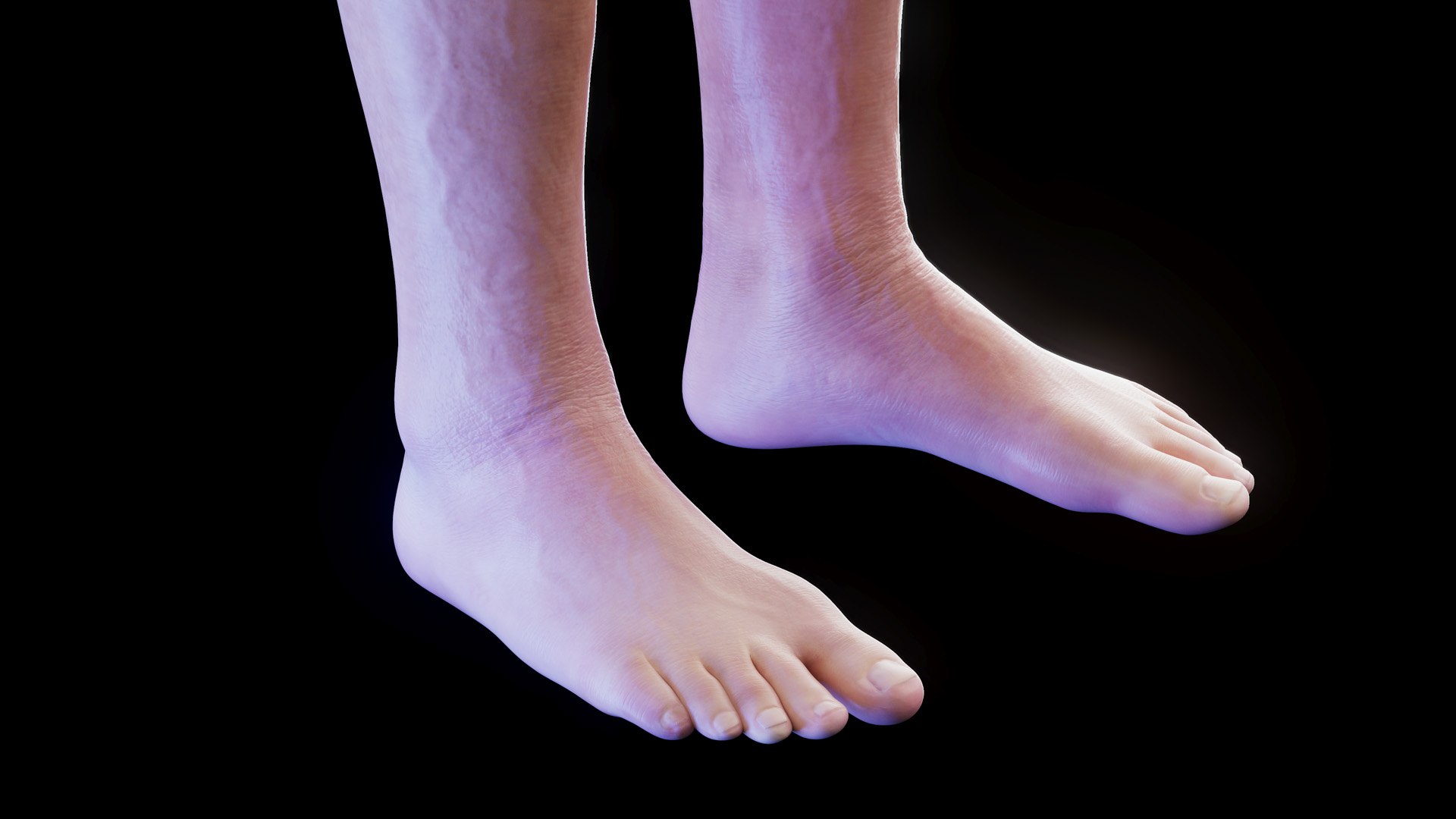 3D Human Anatomy Elder Male Body Model - TurboSquid 2025530