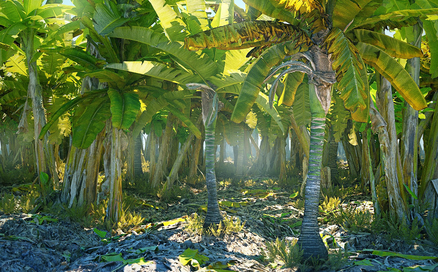 3D Real Palm Forest Hd - TurboSquid 1310071