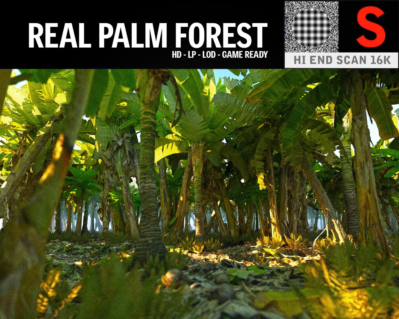 3D Real Palm Forest Hd - TurboSquid 1310071