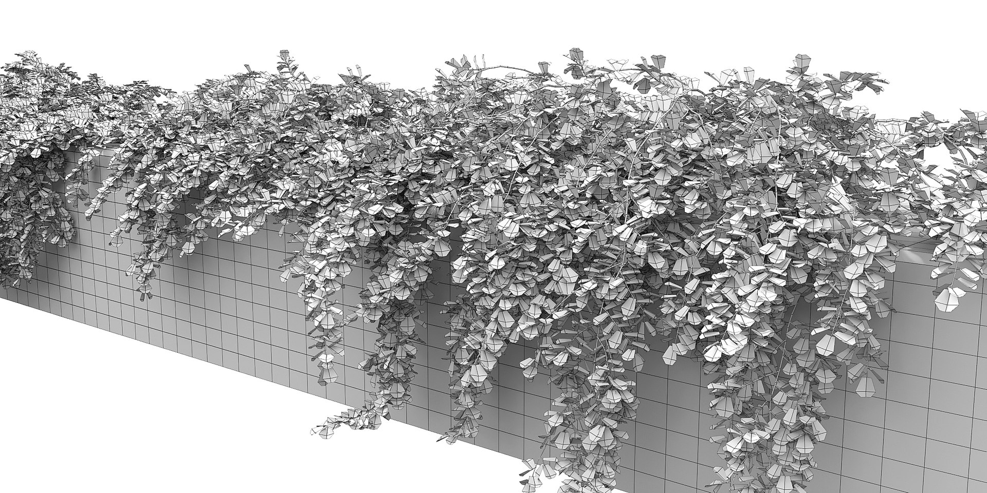 Creeping Cotoneaster 3D Model - TurboSquid 1476527