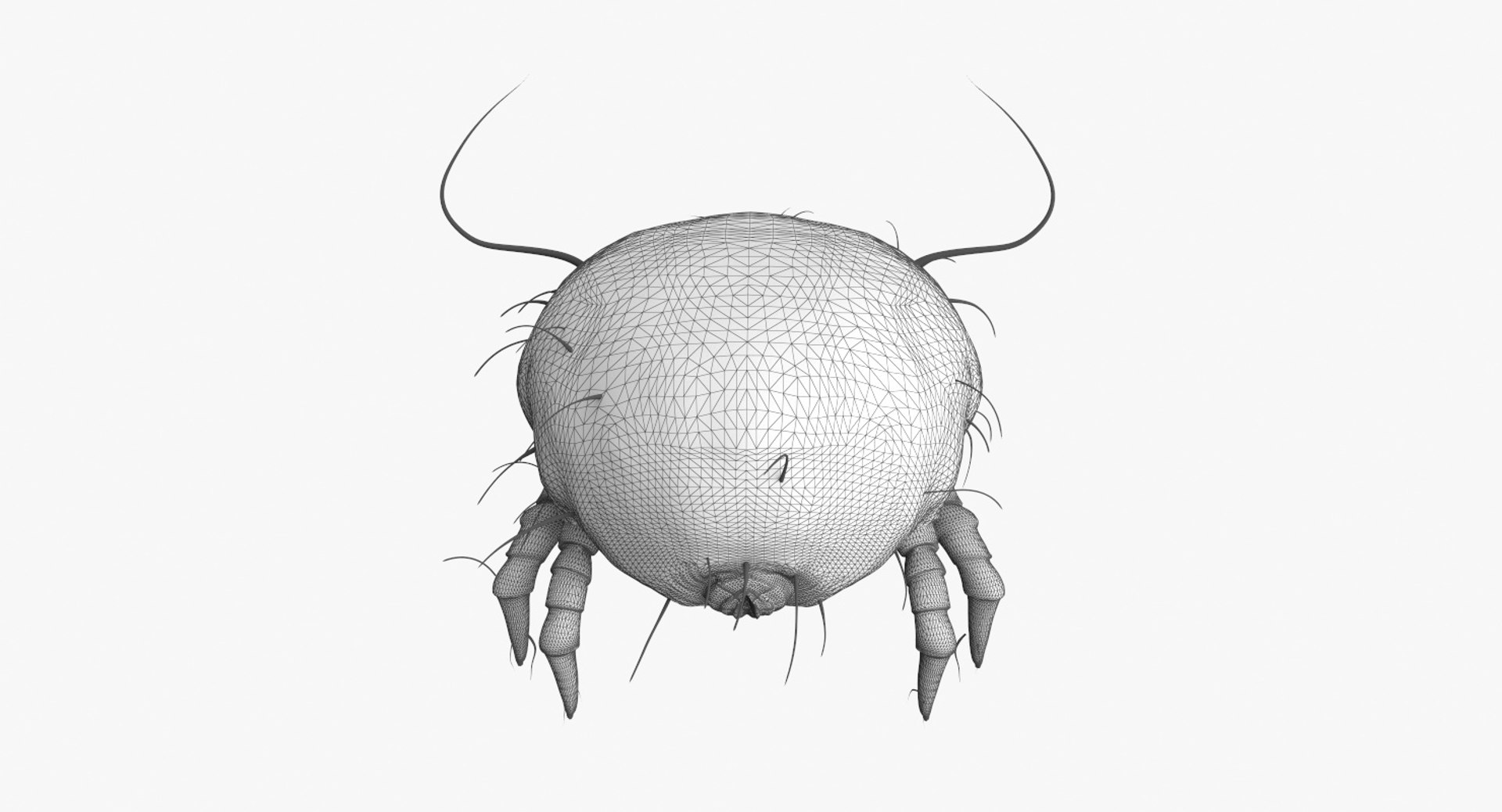 Dust Mite Animation Model - TurboSquid 1393999
