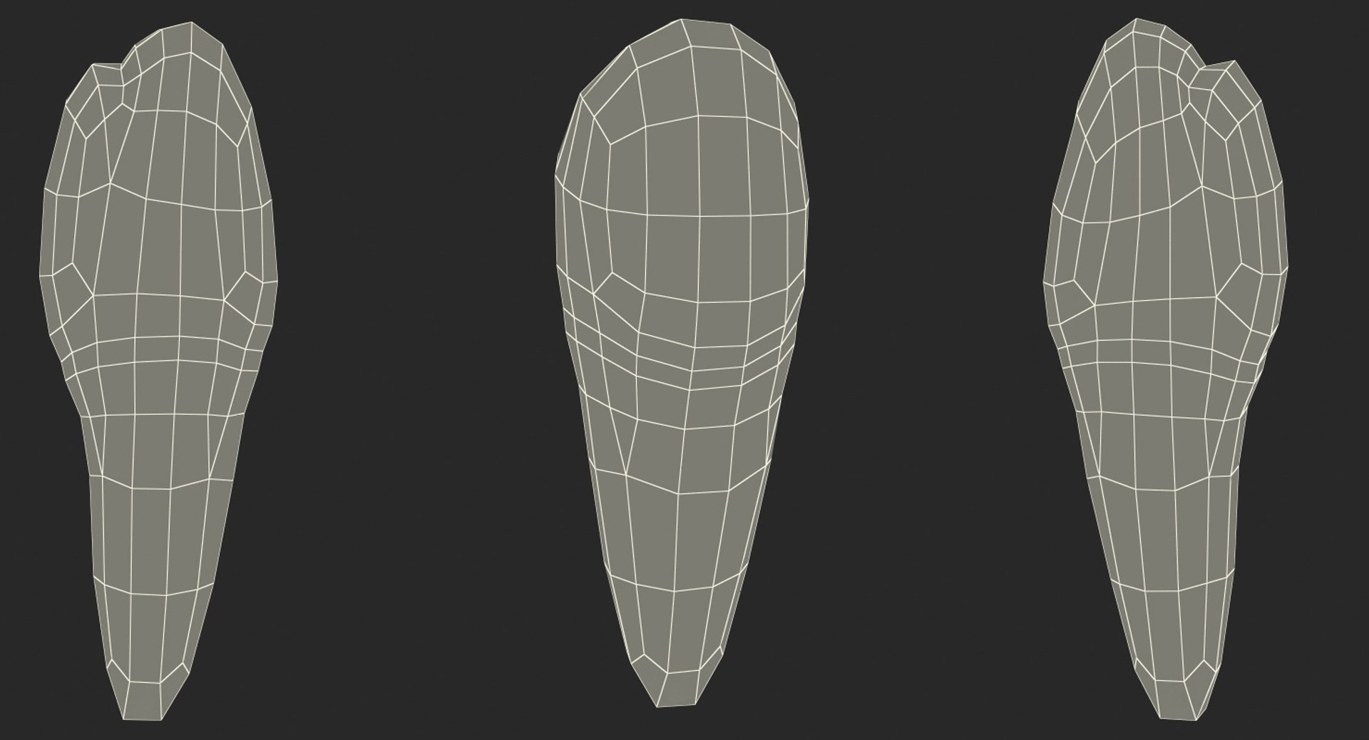 Premolar teeth molar 3D model - TurboSquid 1428962