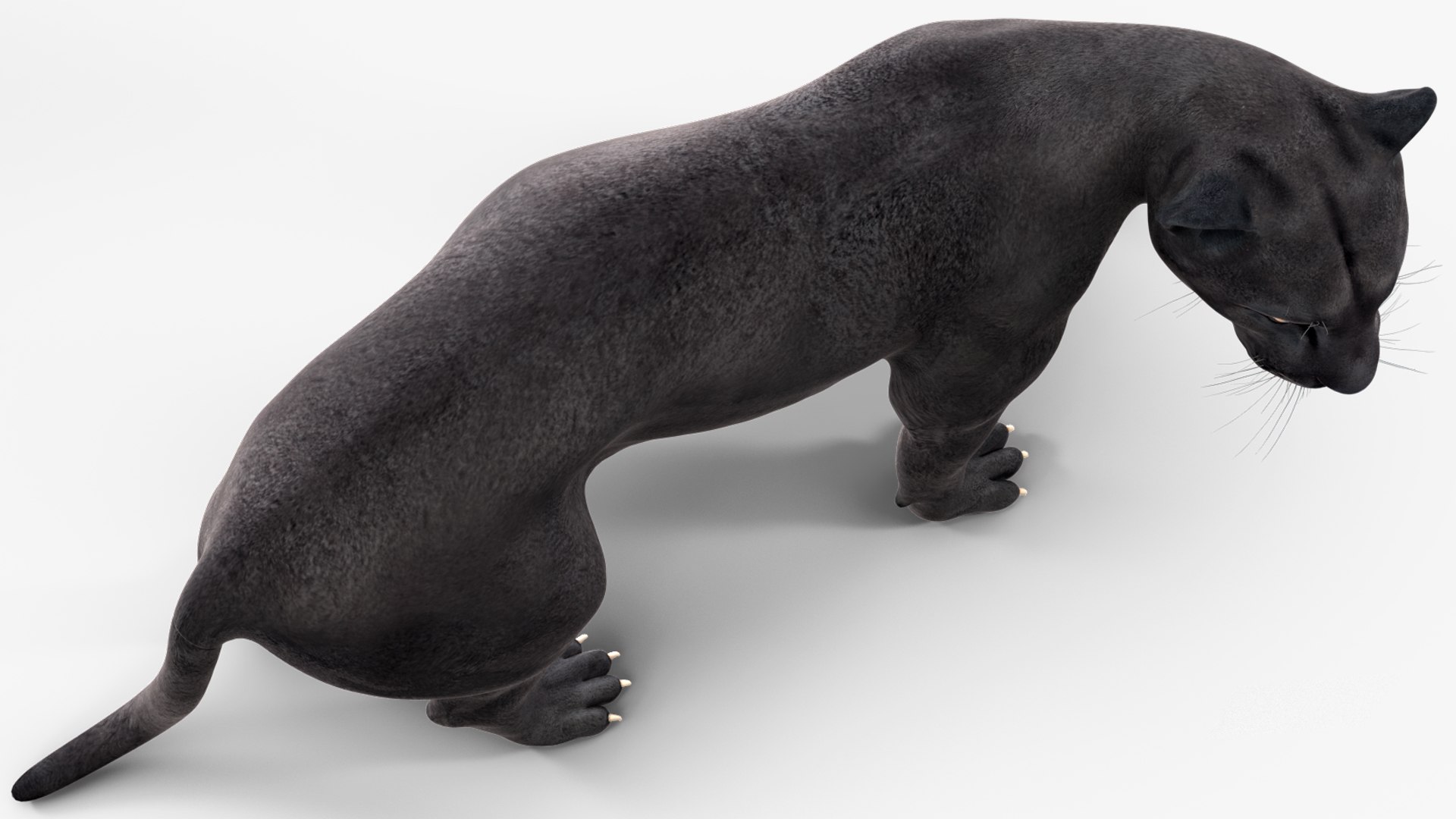 3D Black Panther Walking Pose - TurboSquid 2215812