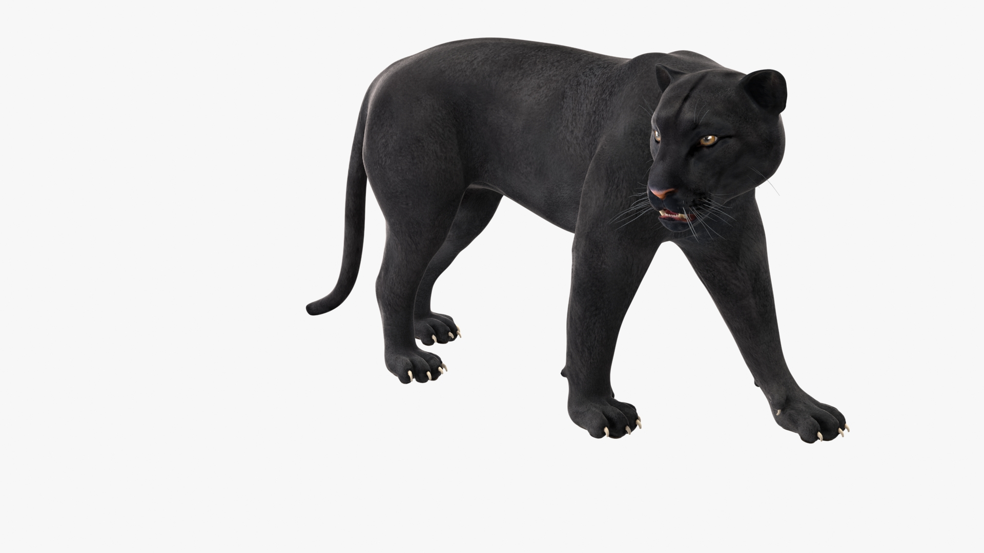 3D Black Panther Walking Pose - TurboSquid 2215812